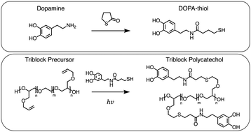 Modular synthesis and facile network formation of catechol ...