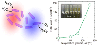 Efficient H2O2 production from a SrTiO3-based thermoelectrocatalyst for ...