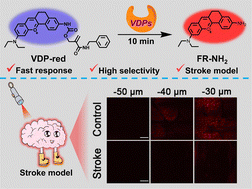 An activatable red emitting fluorescent probe for monitoring vicinal ...