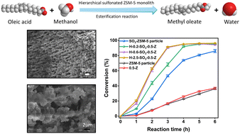 Sulfonated hierarchical ZSM-5 zeolite monoliths as solid acid catalyst ...