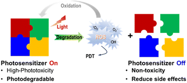 Photodynamic therapy with photodegradable photosensitizers - Chemical ...