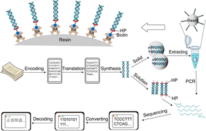 Headpiece-assisted DNA data storage in solution and solid - Chemical ...