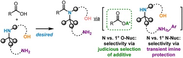 General chemoselective hindered amide coupling enabled by TCFH ...