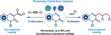 Photoredox cobalt dual catalysis toward C3-functionalization of quinoxalinones with alkenes and ...