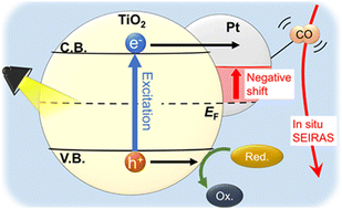 In situ SEIRAS analysis of enhanced photocatalytic carrier transfer to ...