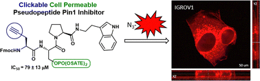 Design and synthesis of a clickable cell-permeable pseudopeptide Pin1 ...
