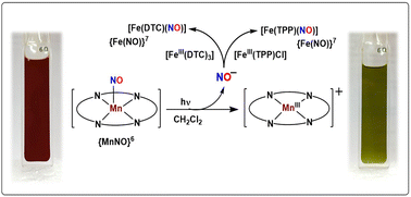Photo-induced nitroxyl anion/HNO release from a nitrosyl complex of Mn ...