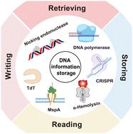 Enzymes as green and sustainable tools for DNA data storage - Chemical ...