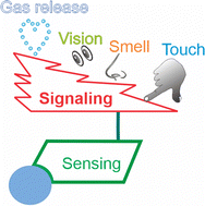 The outputs of molecular sensors detectable by human senses - Chemical ...