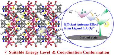 Ultra-selective recognition of UO22+via triggering its intrinsic ...