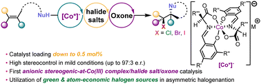 High-performance anionic stereogenic-at-cobalt(iii) complex/halide ...