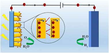 Fabrication of BiVO4 submicron rods photoanodes through phase ...