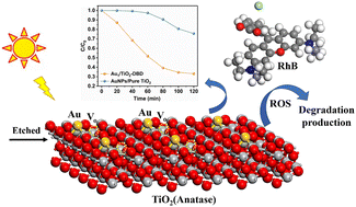 Enhanced photocatalytic activity of single-atom Au1/TiO2 catalysts ...