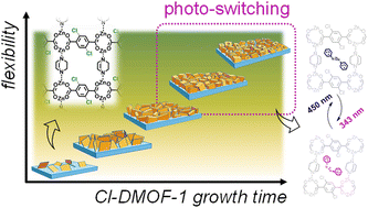 Orthogonal stimulation of structural transformations in photo ...