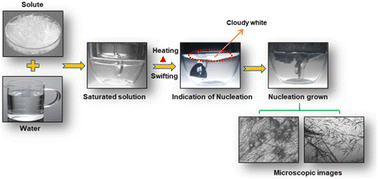 Separation and nucleation kinetics of l-menthol polymorph through a ...