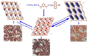 Solvent- and tatrz-induced single-crystal-to-single-crystal ...