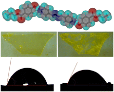 Crystal-to-crystal polymorphic phase transition in a cocrystal accompanied by expansion and ...