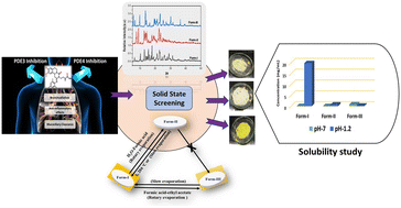 Polymorphism, phase transition, and physicochemical property ...