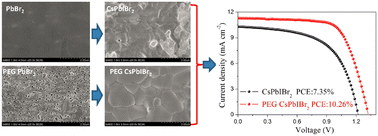 Polymer additive-promoted porous PbBr2 layer for fabricating high ...