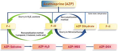 Serendipitous discovery of a novel polymorph of an immunosuppressant ...
