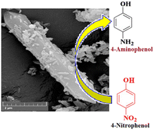 Magnetic rod-like MIL-88B(Fe)/CoFe2O4 metal–organic framework decorated ...