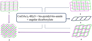 Designed synthesis of Co(ii) coordination polymers for evaluation of structural transformations ...