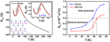 Single crystal growth and electrical transport of two-dimensional van ...