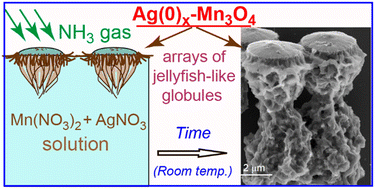 Formation of jellyfish-like Ag(0)x–Mn3O4 microglobules at the surface ...