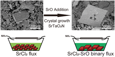 Revealing the effect of SrO addition on NH3-assisted SrCl2 flux growth ...