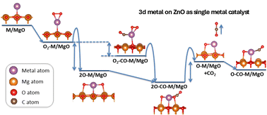CO oxidation reactions on 3-d single metal atom catalysts/MgO(100 ...
