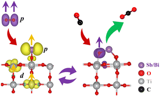 Spin-polarized p-block antimony/bismuth single-atom catalysts on defect ...