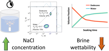 Investigating the behaviour of NaCl brines and hydrocarbons in porous ...