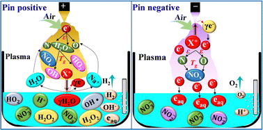 Insights into the mechanisms of plasma physicochemical characteristics ...