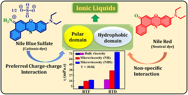 Probing the heterogeneity of molecular level organization of ionic ...