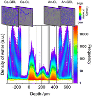 In situ 3D X-ray imaging of water distribution in each layer of a ...