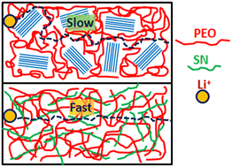 Decoupling of ion-transport from polymer segmental relaxation and ...