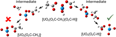Reactions of gas-phase uranyl formate/acetate anions: reduction of ...