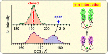 Intra-host π–π interactions in crown ether complexes revealed by ...