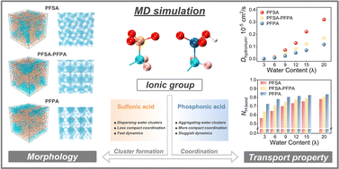 Effect of ionic groups on the morphology and transport properties in a novel perfluorinated ...