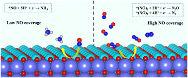 Coverage-sensitive mechanism of electrochemical NO reduction on the ...