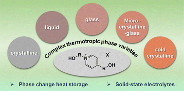Complex phase behavior of dihydroxyl-functionalized ionic liquids at ...