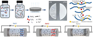 Insight into ion dynamics in a NaClO4-doped polycaprolactone solid ...