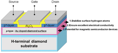 Electronic and magnetic properties of Au-doped diamond surfaces by ...