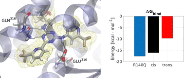 Trans vs. cis: a computational study of enasidenib resistance due to ...