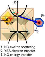 Ultrafast electron shuttling suppresses the energy transfer process in ...