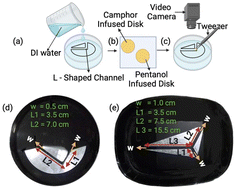 Surface tension gradient invoked path selection - Physical Chemistry ...