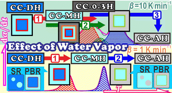 Water vapor effect on the physico-geometrical reaction pathway and ...