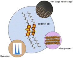 Exploring the phase behavior of C8-BTBT-C8 at ambient and high ...