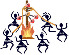 Dynamics of non-covalent interactions during the P–O bond cleavage ...