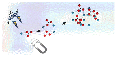 Impact of magnetic and electric fields on the free energy to form a ...